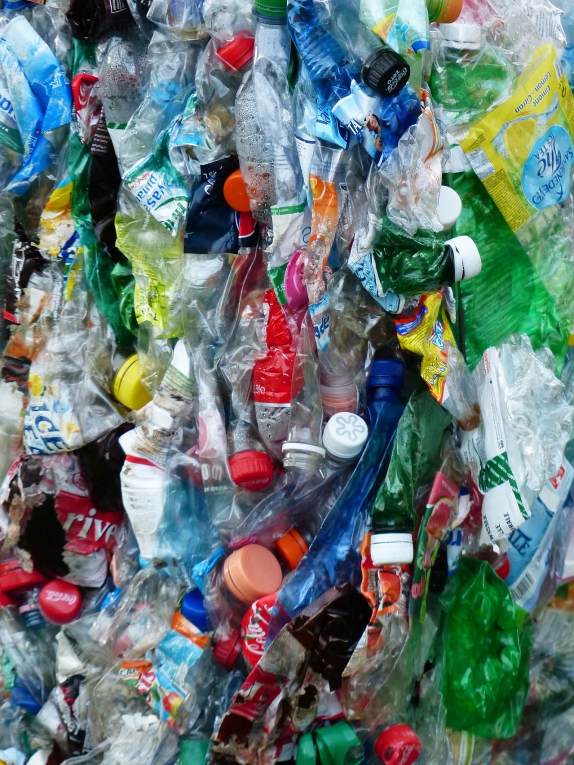 ECCO A VOI LA PLASTICA – Progetto Scuola Natura
